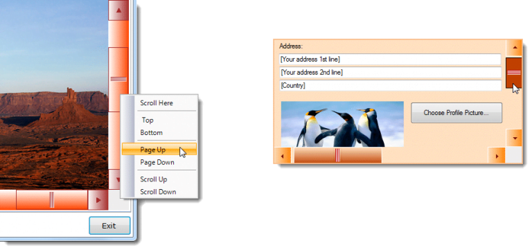 Advanced Panel For Winforms Features Rich Custom Net Control For Winforms