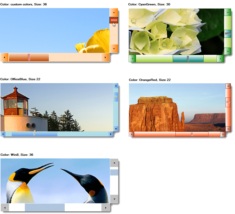 How To Use Custom Winforms Scrollbar Net Control